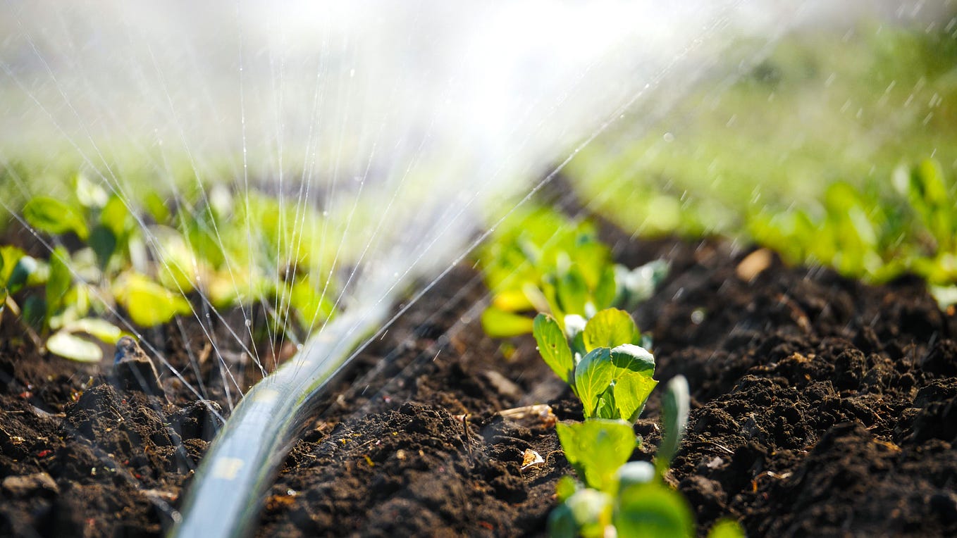 10 Easy Steps to Installing a Drip Irrigation System | by Ksnm | Feb ...