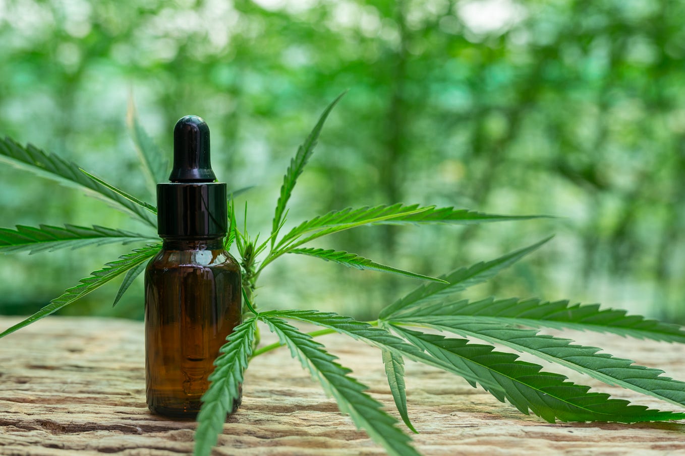 Medical Marijuana in Jackson, Mississippi: A Comprehensive Guide | by ...