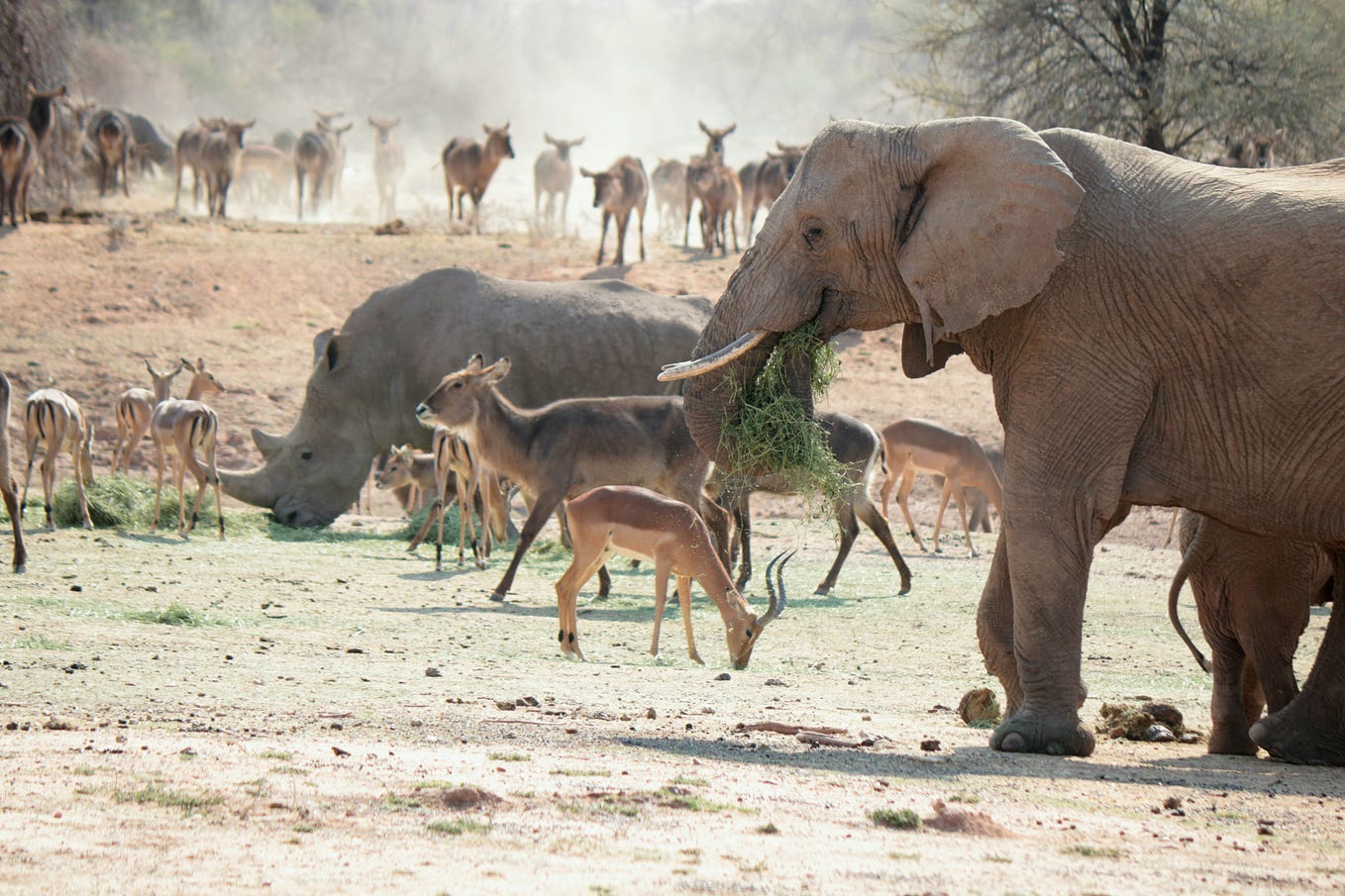 The Only Water to be Found for Miles — Epupa Falls | by Anne Bonfert ...