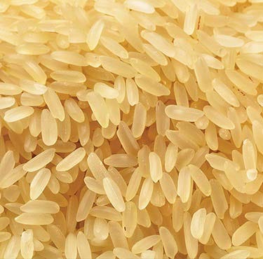 Largest Importer Of Rice In The World | by Tradologie | Medium
