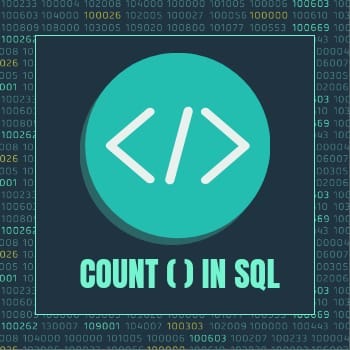 The Ultimate Guide to Object-Oriented Programming: A Deep Dive into Top OOP Languages | by ...