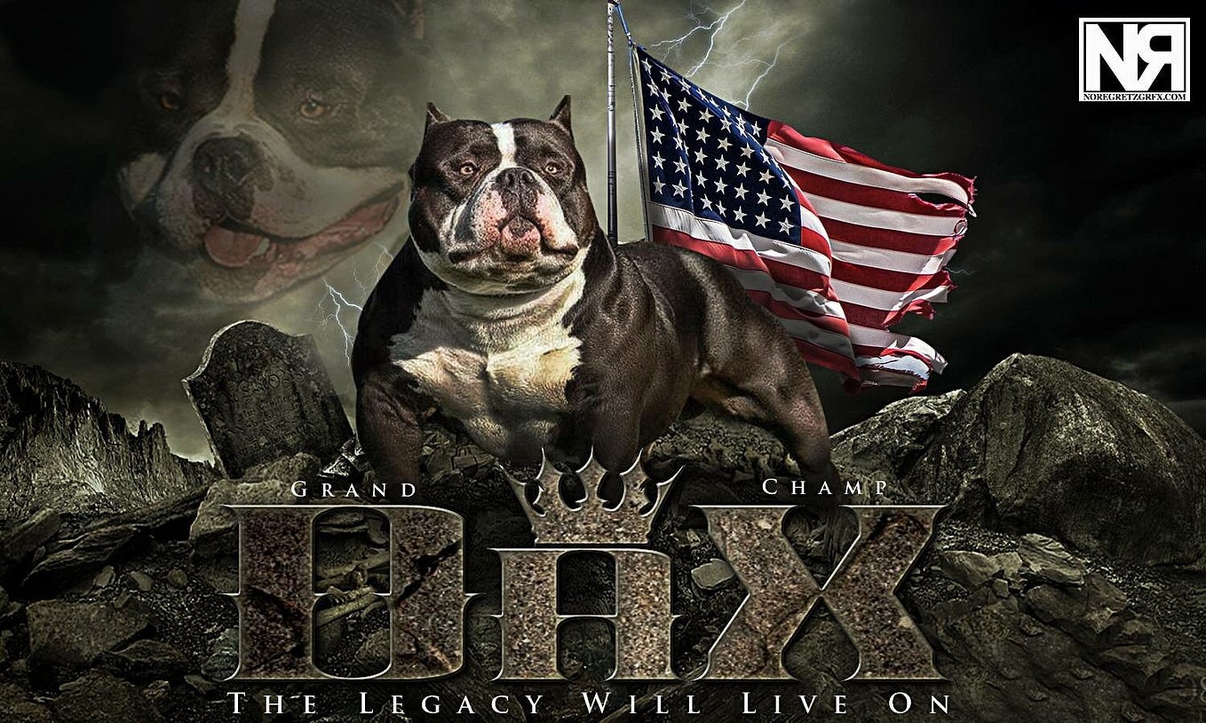 HOW MUCH DOES AN AMERICAN BULLY COST? | by BULLY KING Magazine | BULLY ...