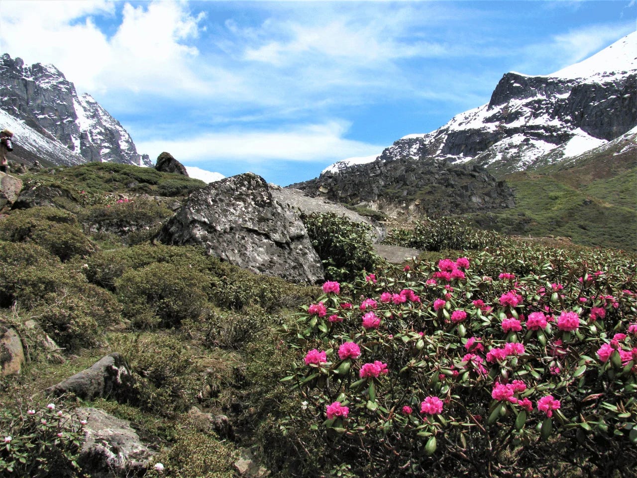 Sikkim Tour Package For 6 Nights 7 Days - Himanshietriptoin - Medium