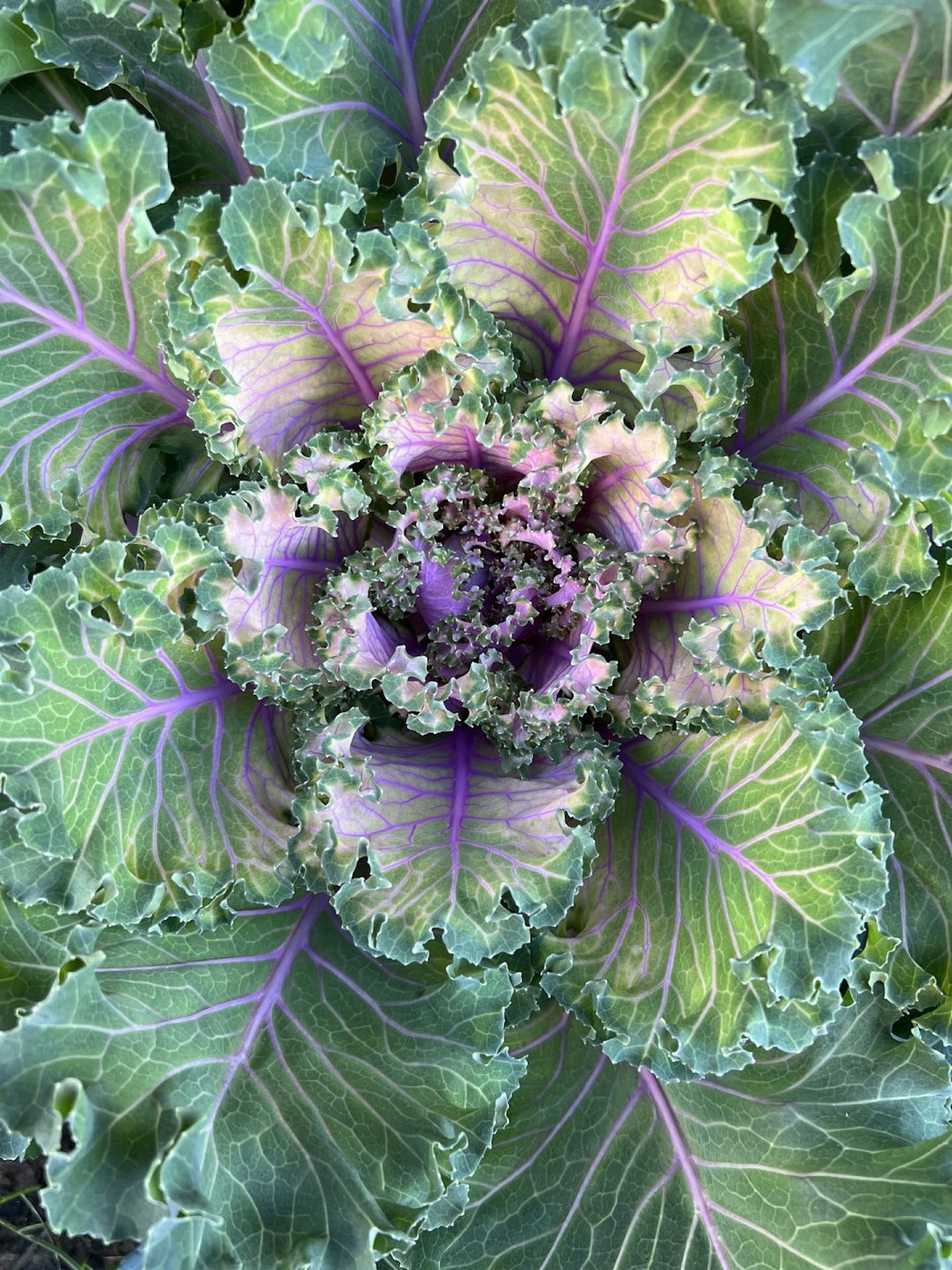 112. Advanced SQL Features in DuckDB: Window Functions, Common Table Expressions, and More | by ...