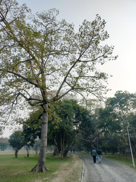 A Classroom Love Story…. A student’s forgotten photograph is the… | by ...
