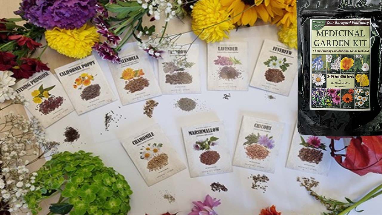 Medicinal grand kit. The Most Important Thing That’s… | by review 2024 ...