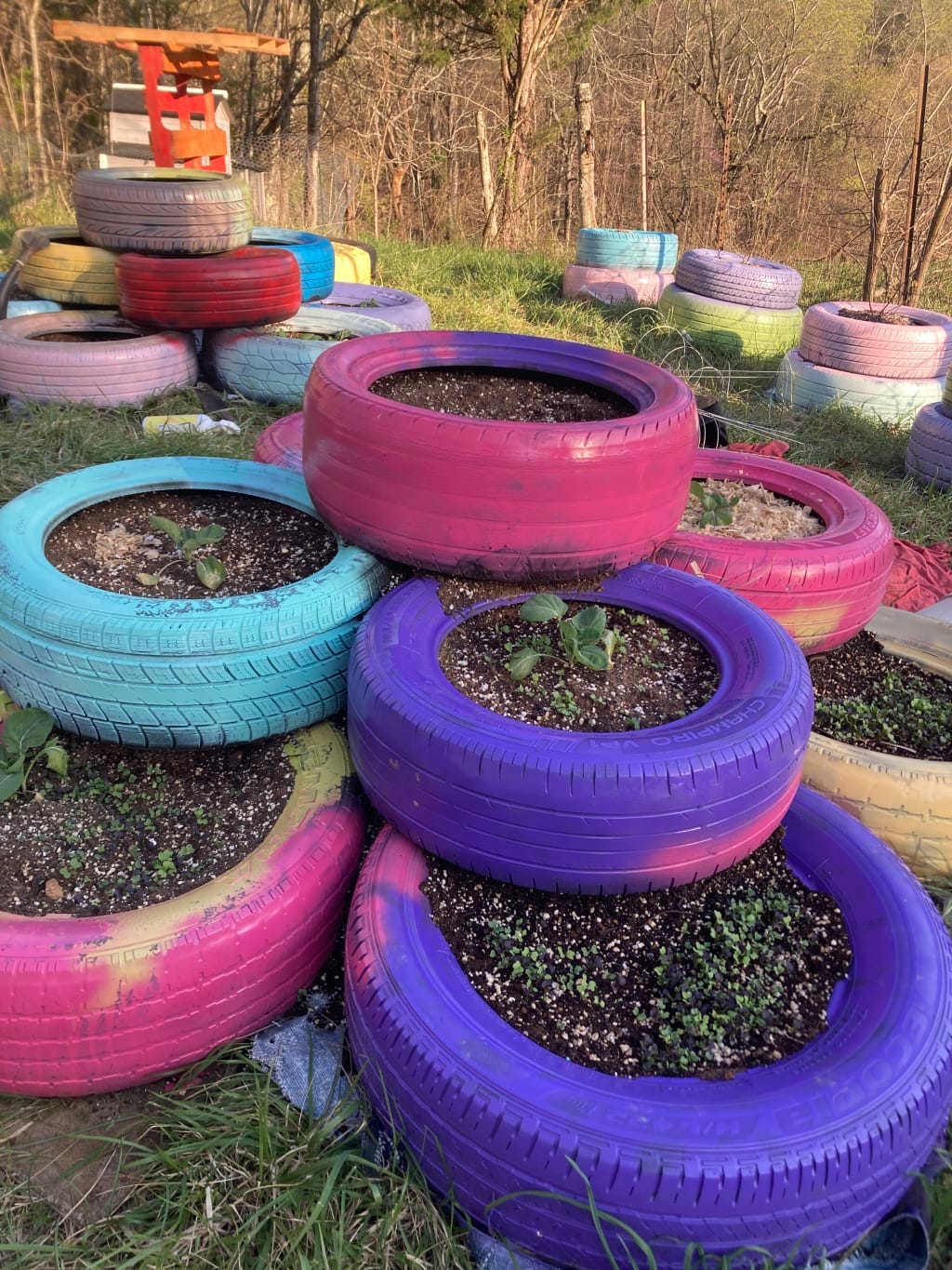 But You Could Even Saw The Tires In Half An Create Wall Gardens With But You Could Even Saw The Tires In Half An Create Wall Gardens With