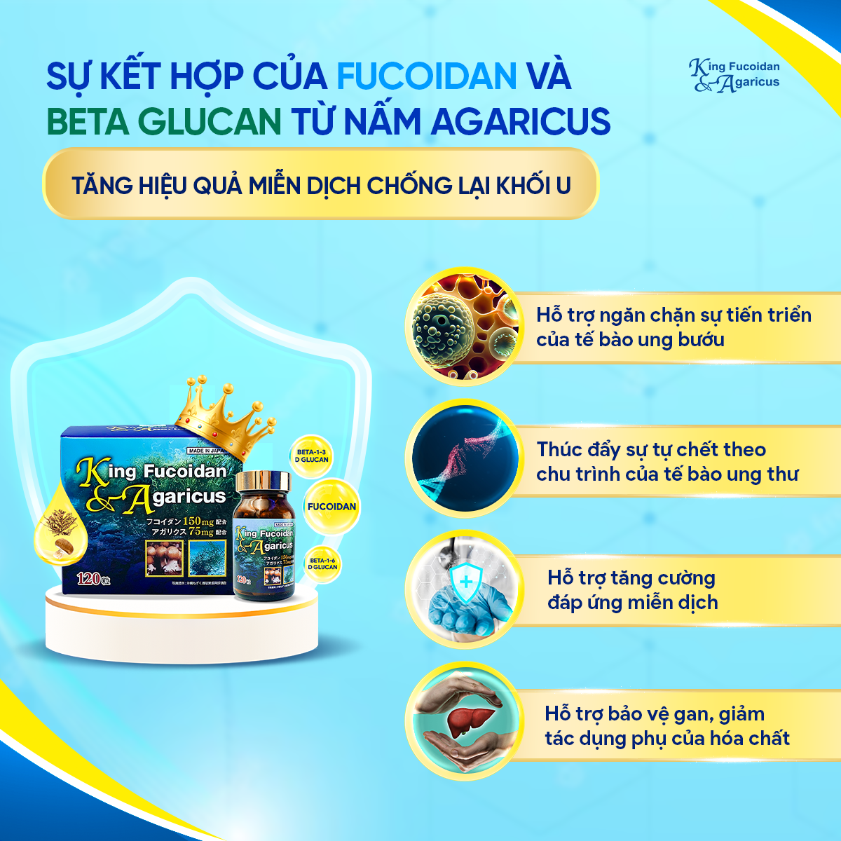 Cách Uống Fucoidan Nhật Bản Hiệu Quả — Tăng Cường Sức Khỏe | by ...