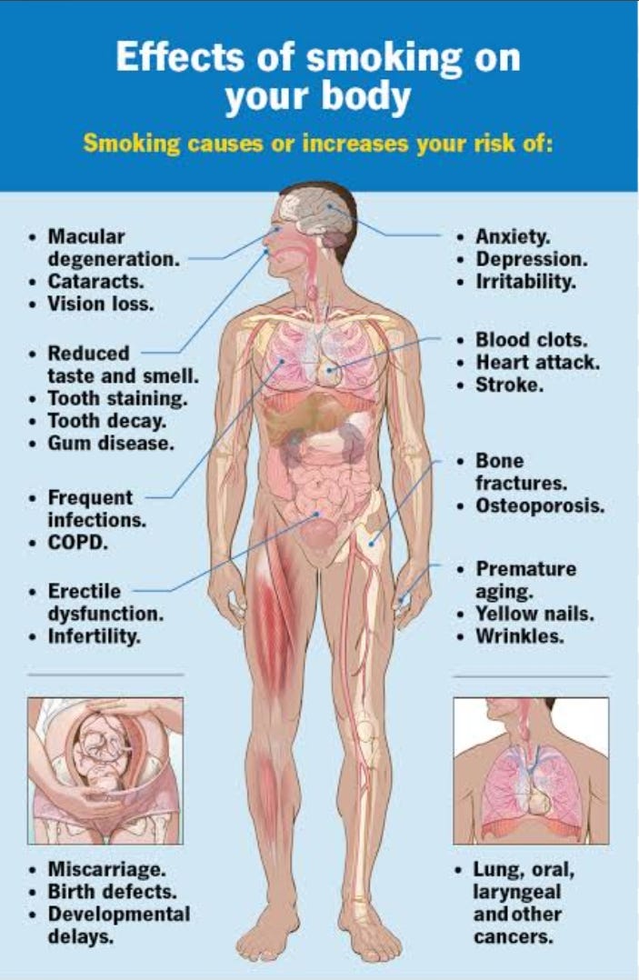 Gauss's Law:. Gauss's Law is a essential precept in… | by M Riaz | Dec, 2024 | Medium