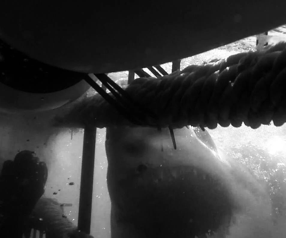 Overland Travel: 5 Things to Never Leave Home Without | by Michael ...