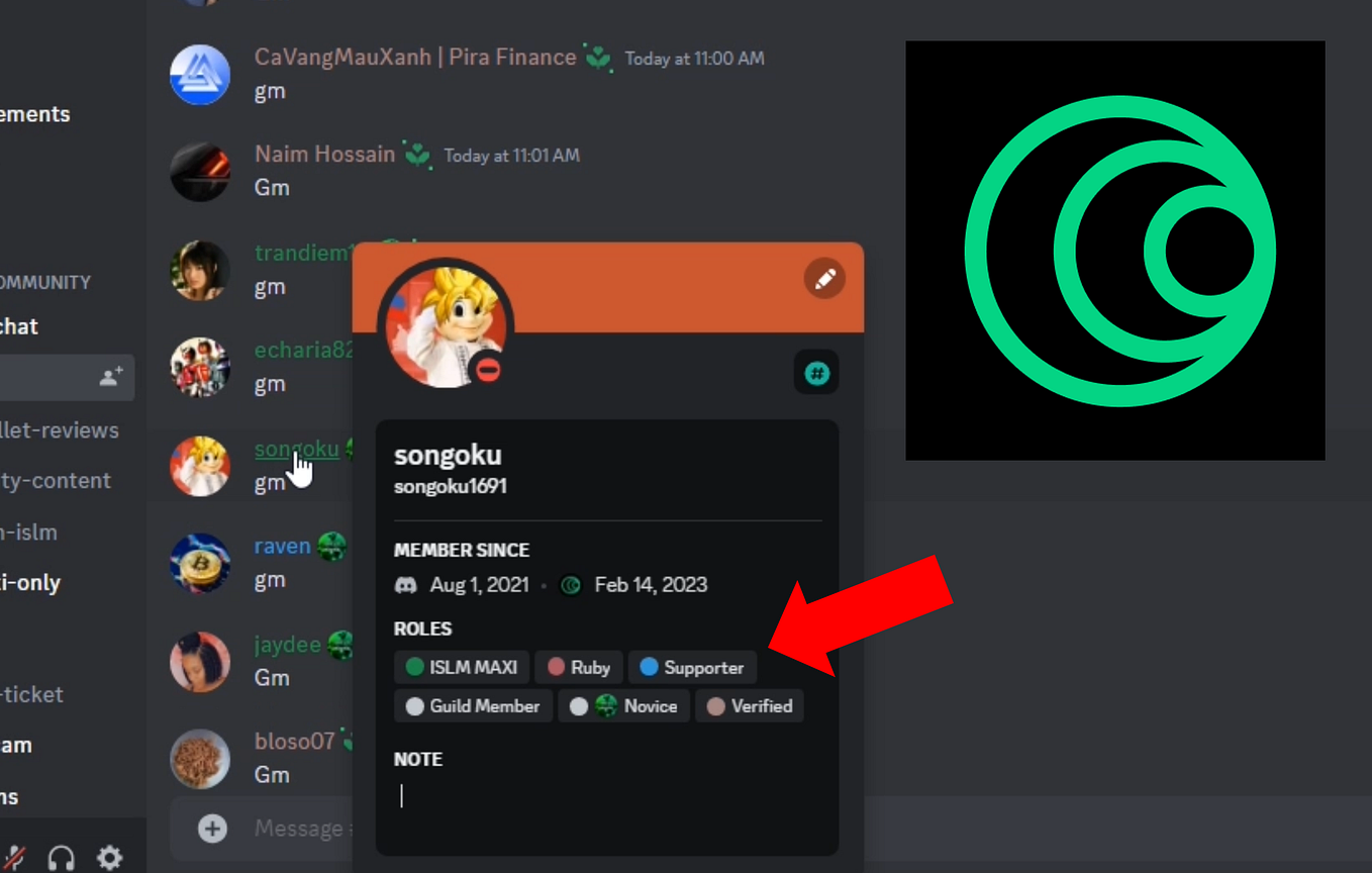 How to get Novice Role on Islamic Coin Discord? | by Songoku | Medium