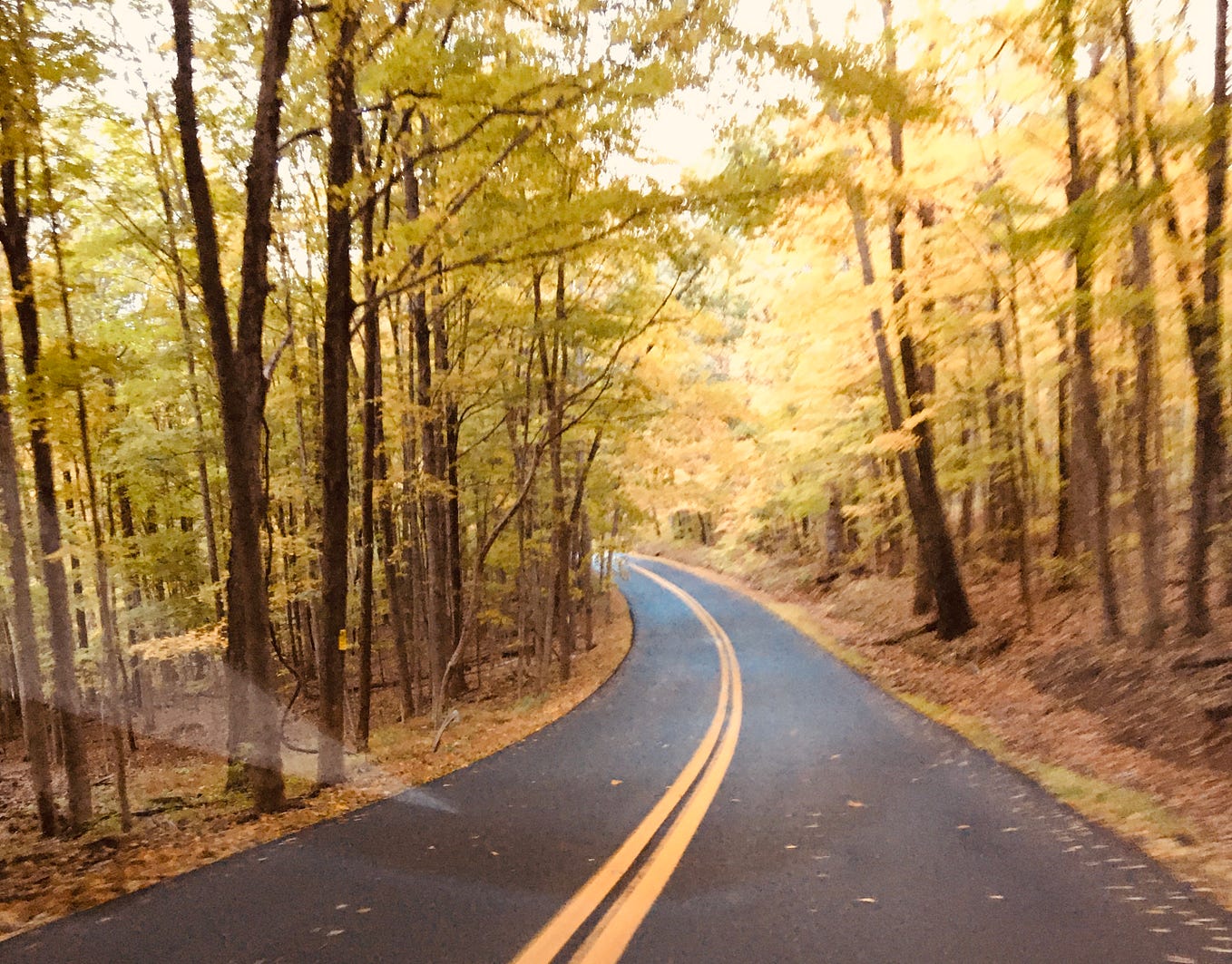 The Call of the Cicadas - Sandra Fox Murphy - Medium