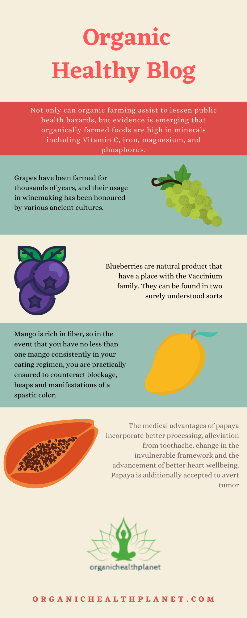 Organic Healthy Blog - Website - Medium