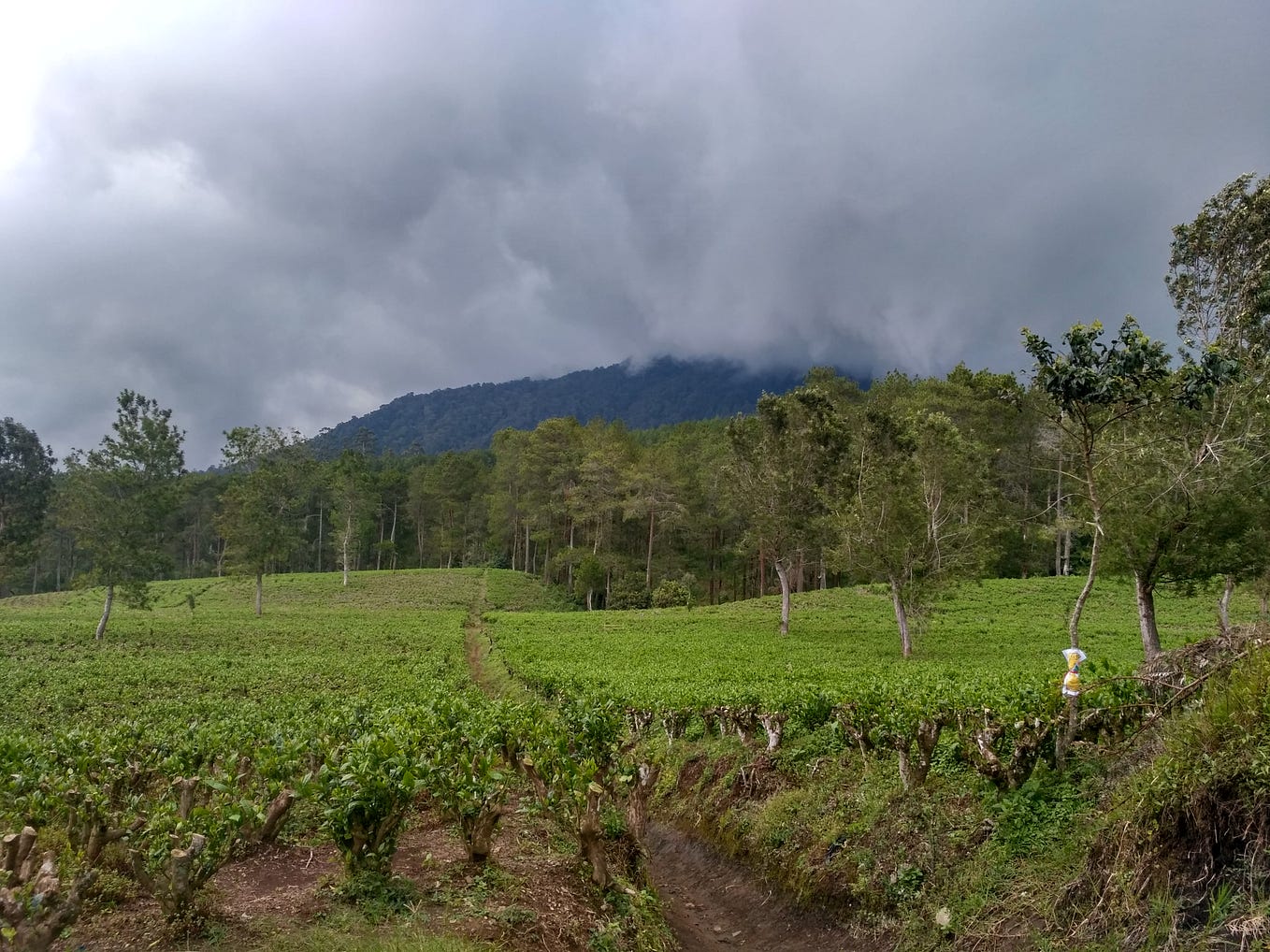 Topic Modeling In R With Tidytext And Textminer Package Latent Dirichlet Allocation By Joe