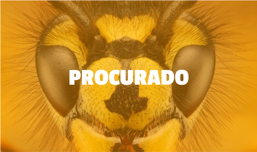 Sikuli IDE — “Hello World”. A cada dia que passa as aplicações… | by ...