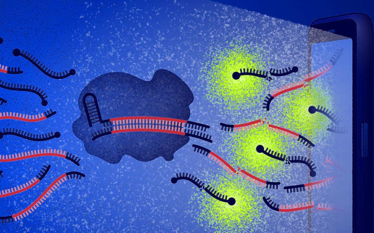 Machine Learning — The Language For Biology? | by Hayley So | Medium