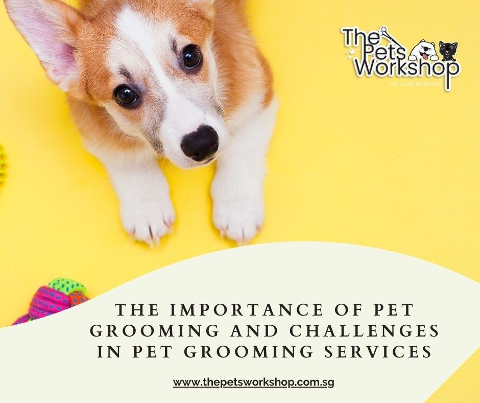 Professional grooming plays a crucial role in managing these challenges ...