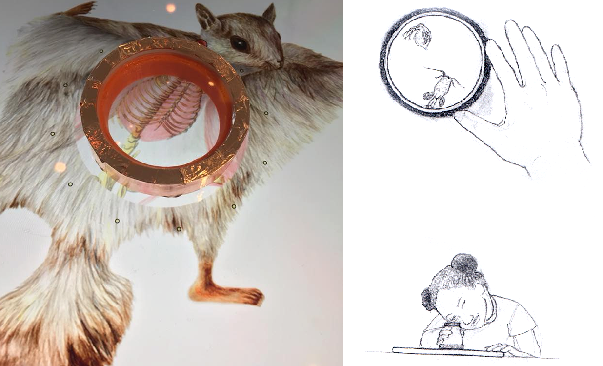 ADD In Adults: Understanding the Hyperactive Brain | Elemental