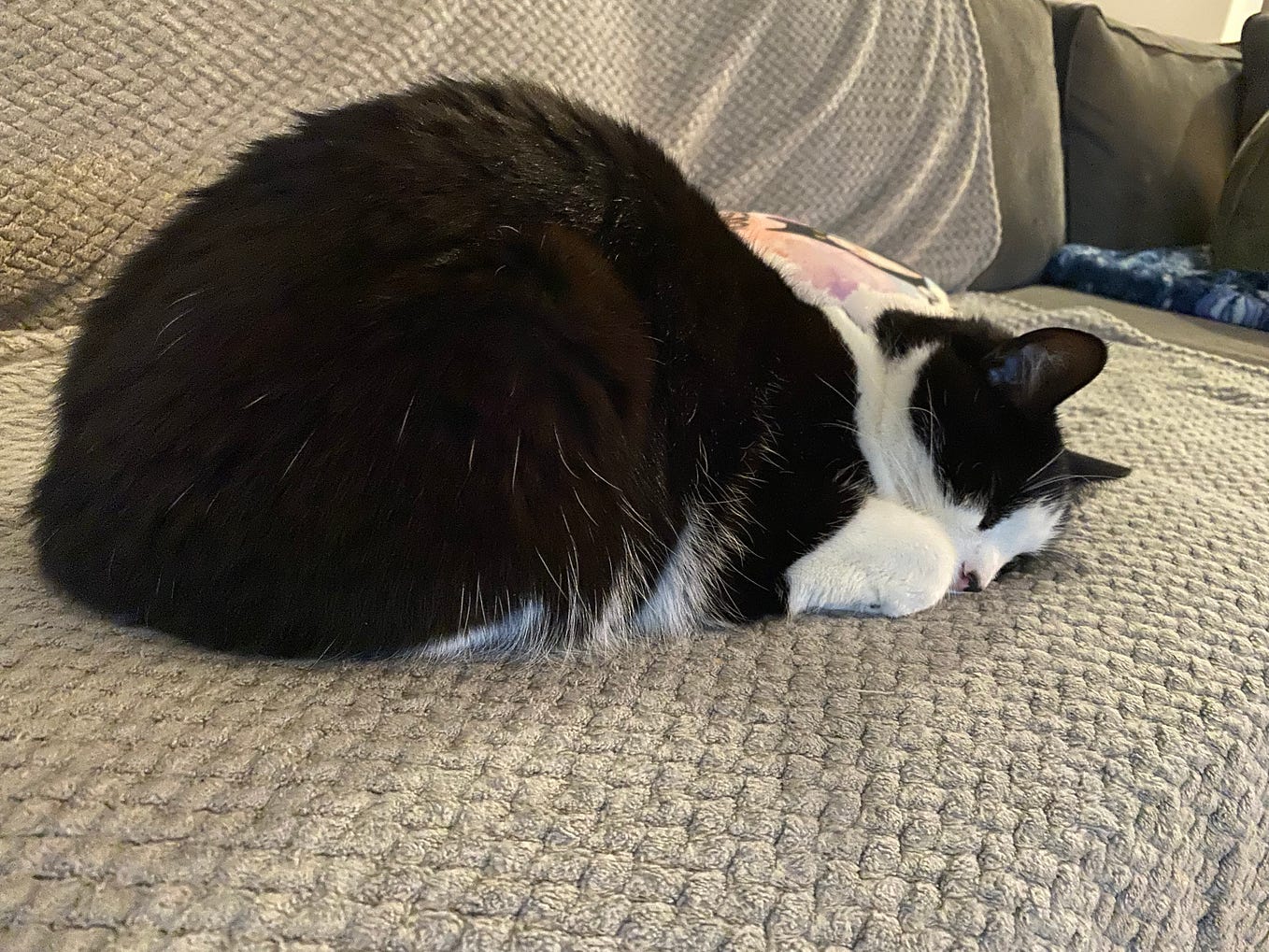 Great article, Paula. I'm not enthralled by marshmallows, per se ...