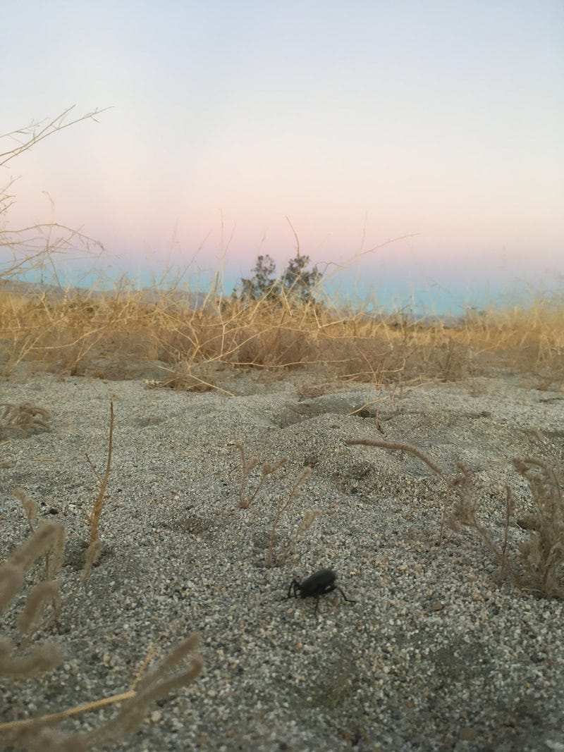 Ari. UC San Diego class of 2023 | by Bruce Rhodewalt | How did you ...