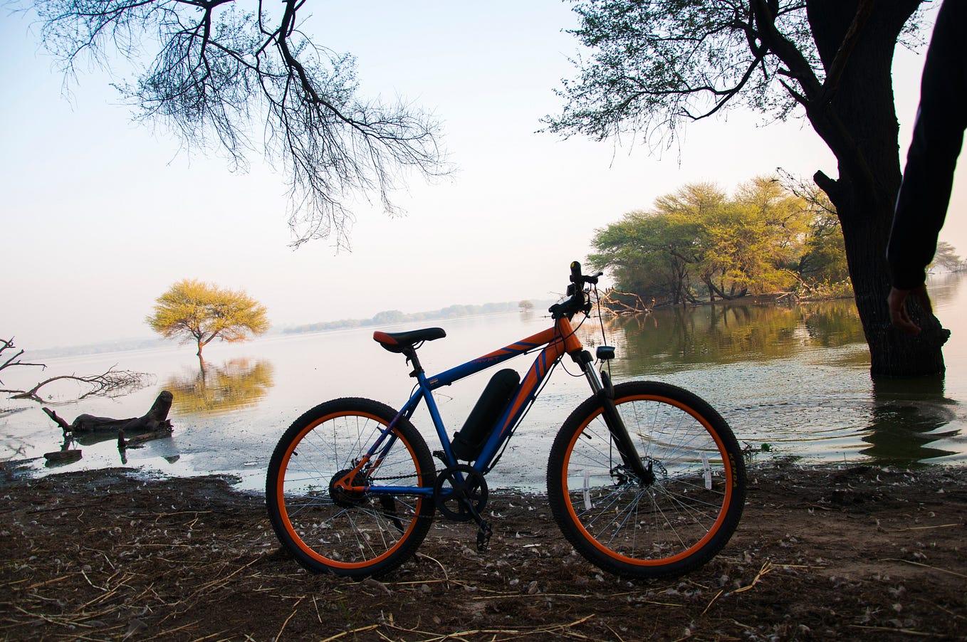 Tree Plantation Pledge — LightSpeed Electric Bicycles | by LightSpeed ...