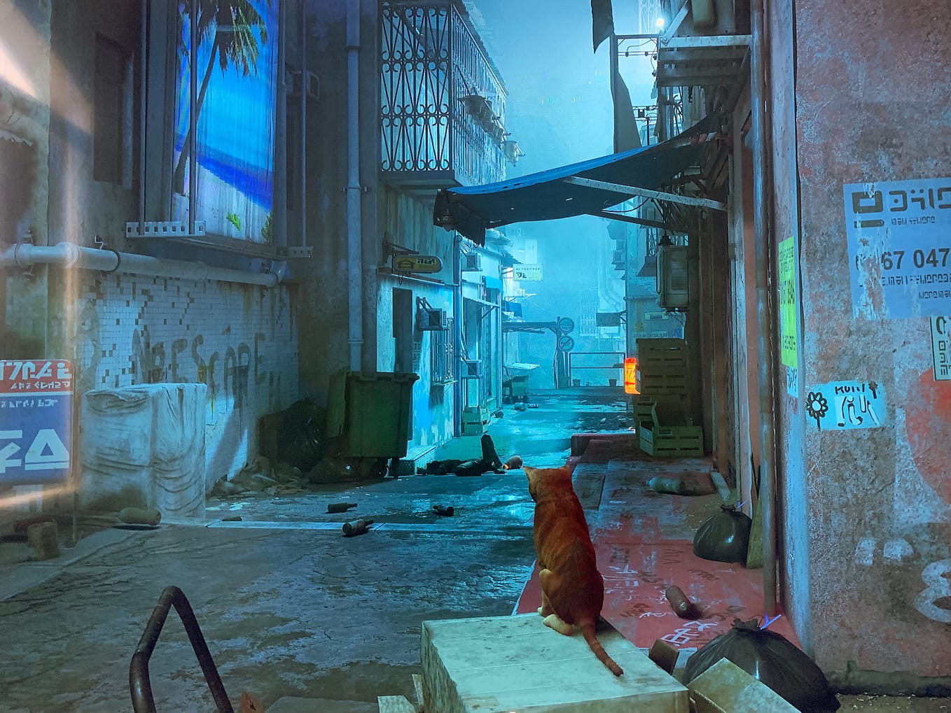 The 10 Best Children’s Books of the Early 2000s | by Marissa Slack ...