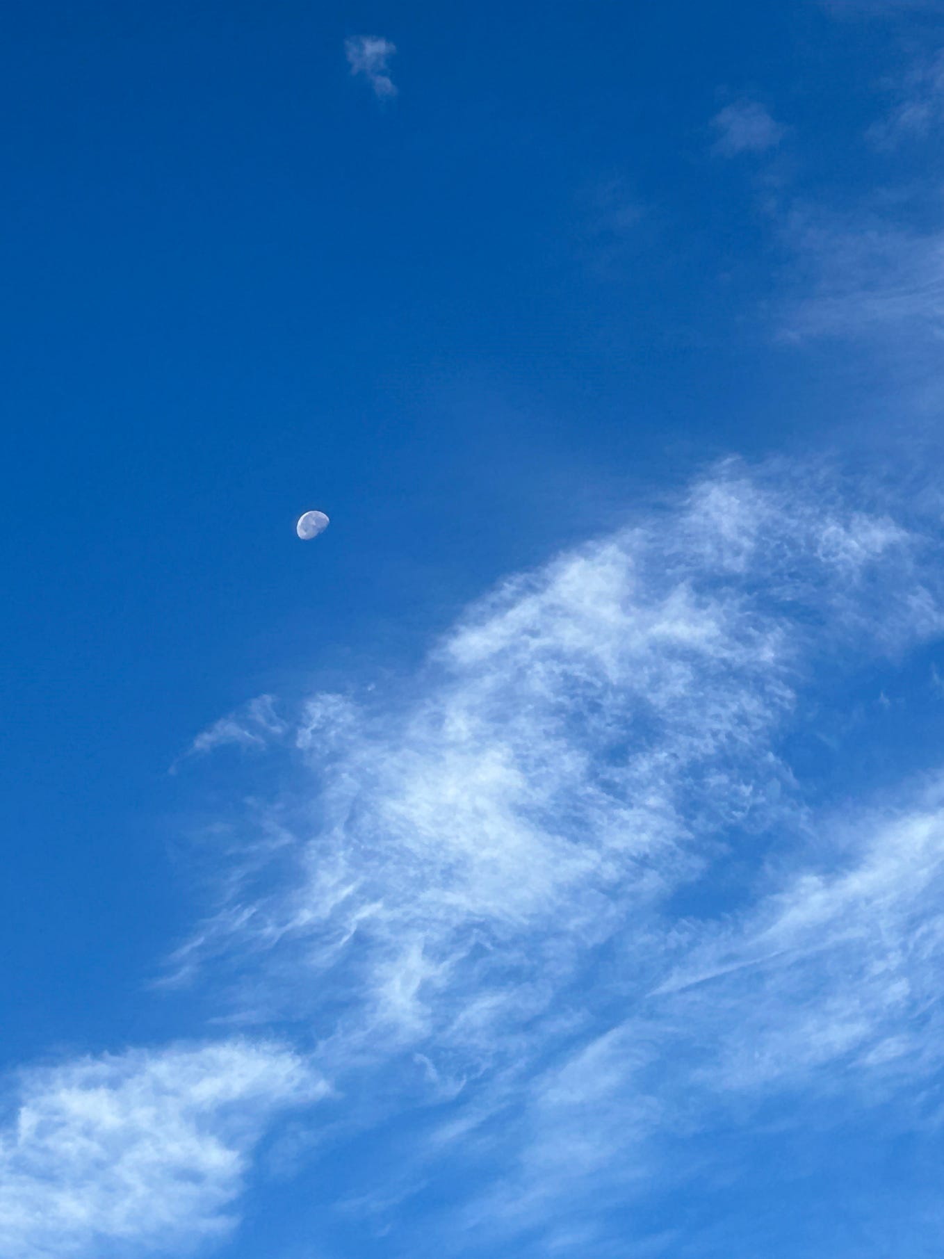 I love this whole poem🙏🏼 - Red Sevin - Medium