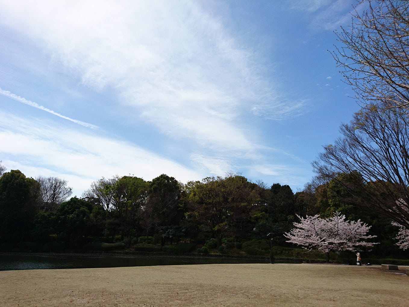 Thank you for reading! I’m glad to share my thought with you. | by ...