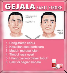 Obat Stroke Hemoragic. Pengertian Stroke | by denature nurhidayat | Medium