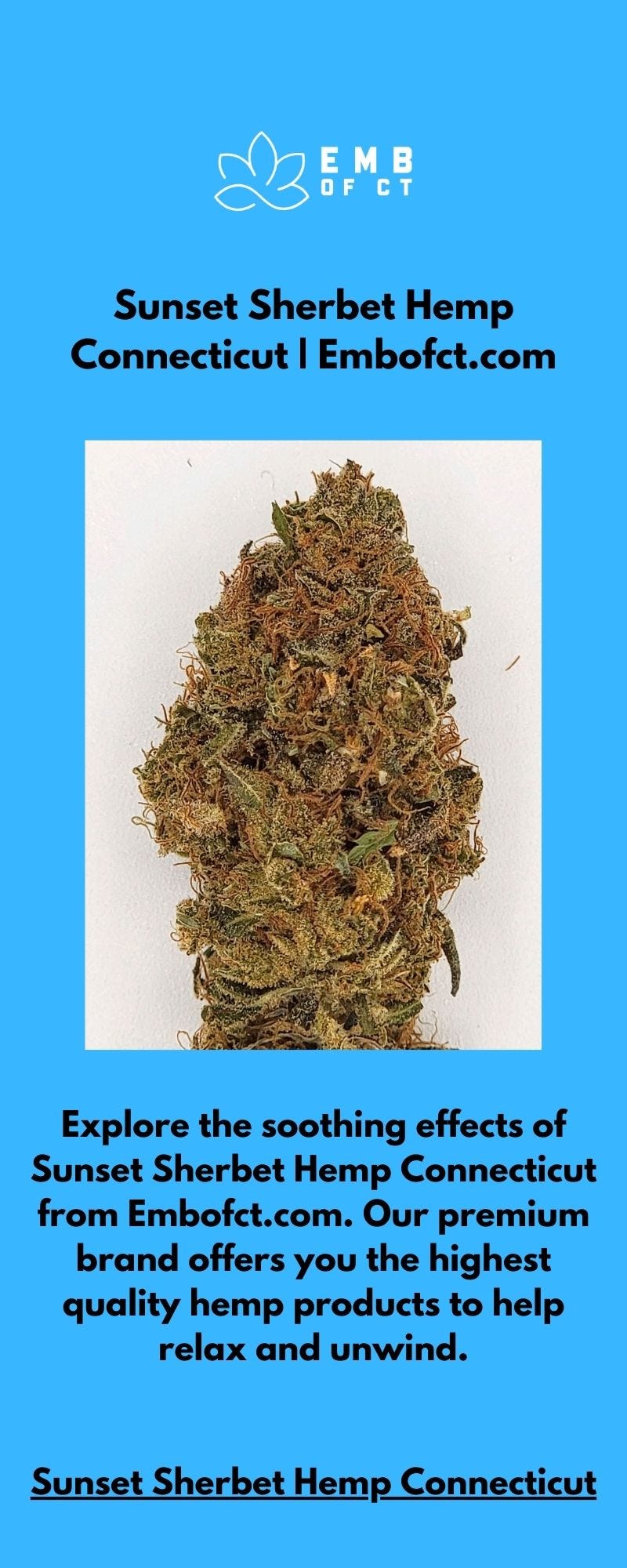 Sunset Sherbet Hemp Strain | Embofct.com - Embct - Medium