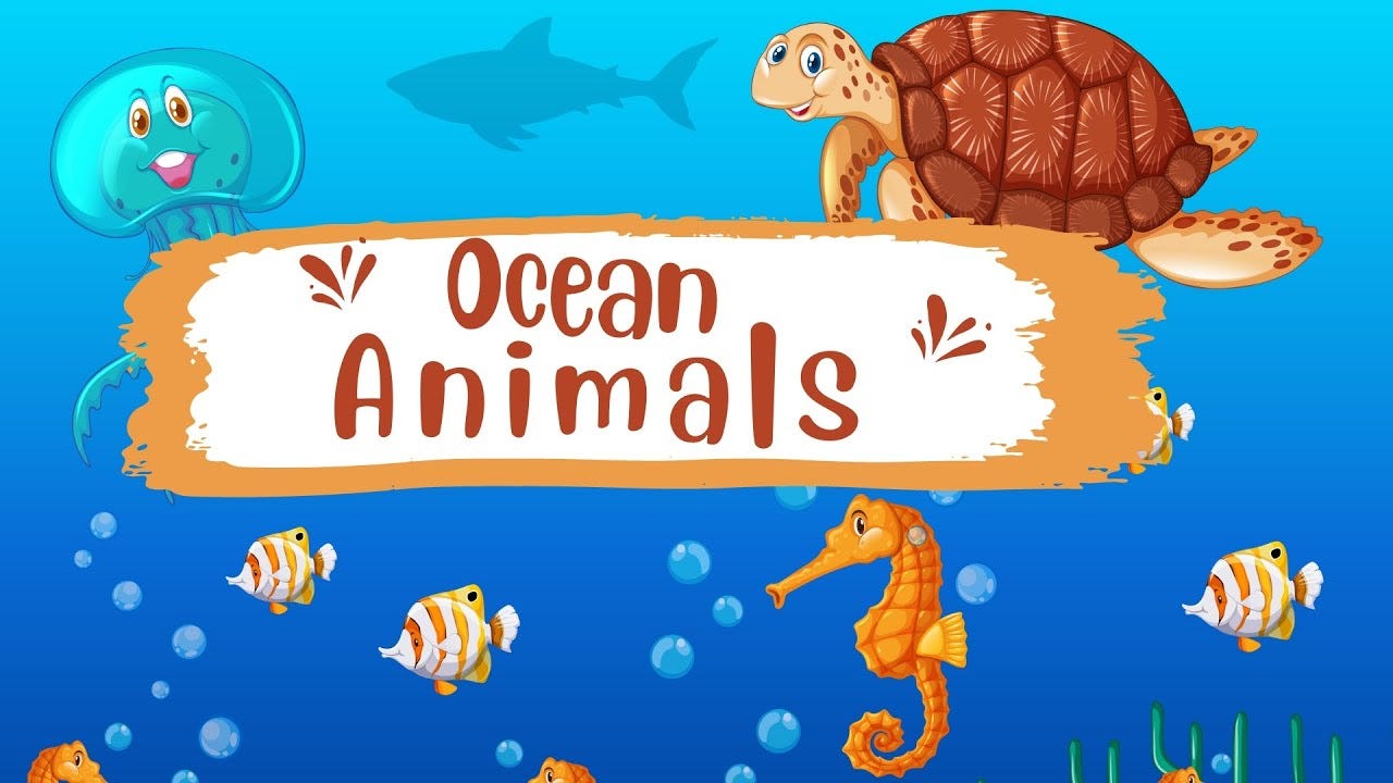 Ocean Animals Pictures With Names