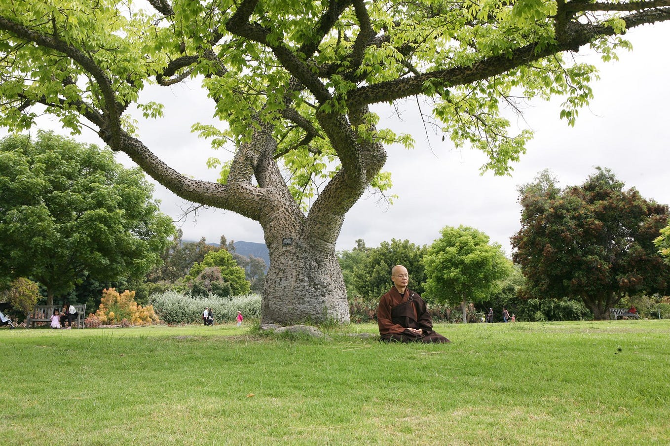 Sudden vs gradual enlightenment. Master YongHua’s Dharma Talk 2017/12 ...