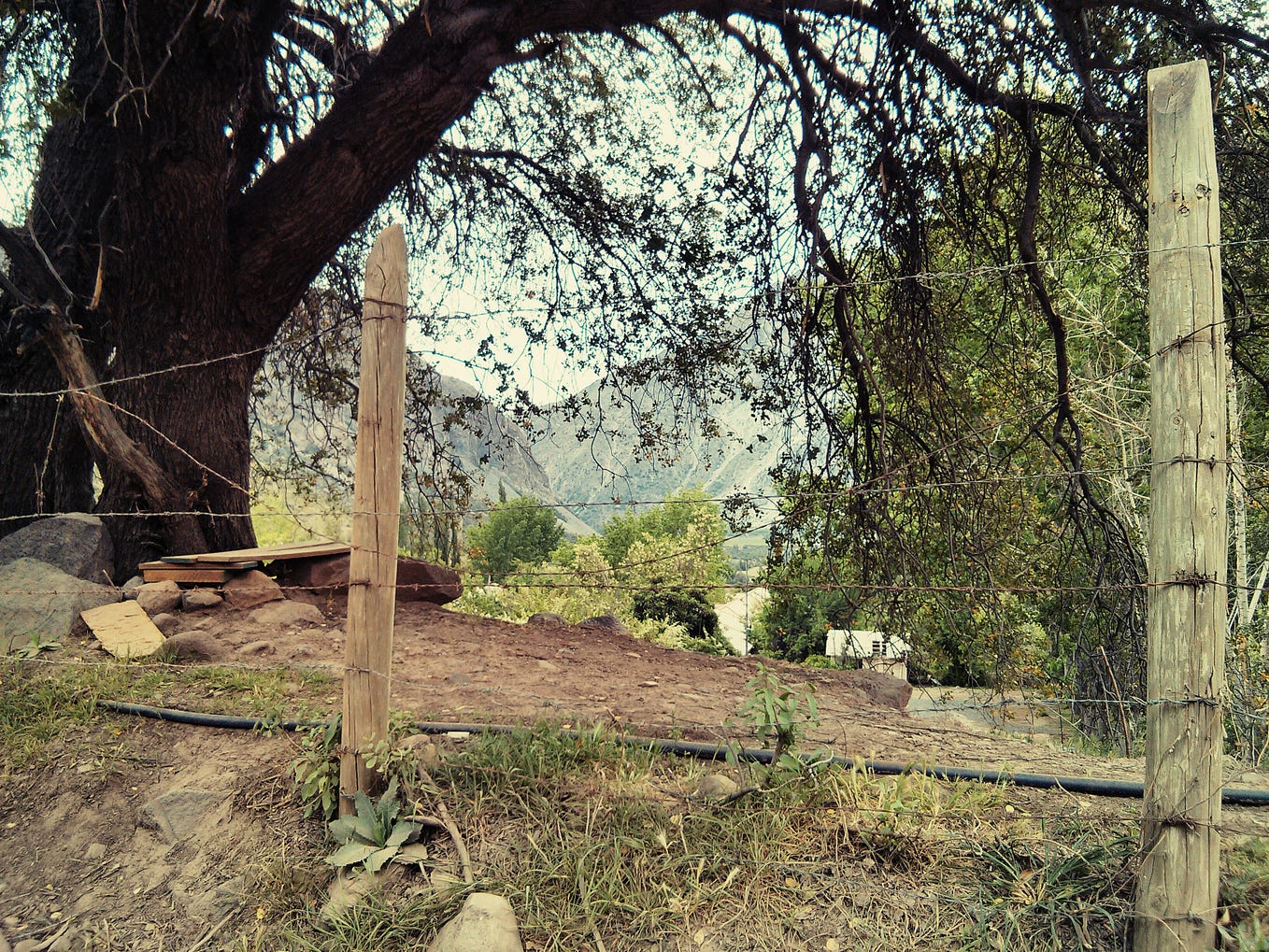 You Should Burn Down Your Life From The Inside Out | by Luke Blackburn ...