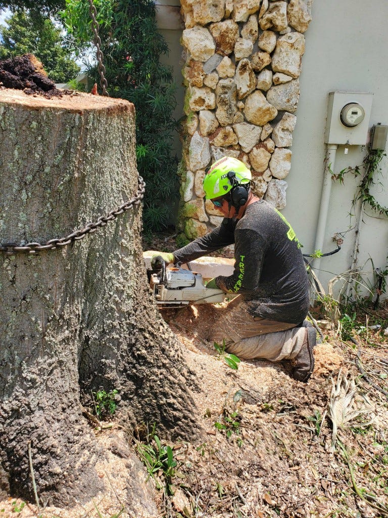 Mastering the Art of Crane Operation: A Comprehensive Guide - GBA Trees ...