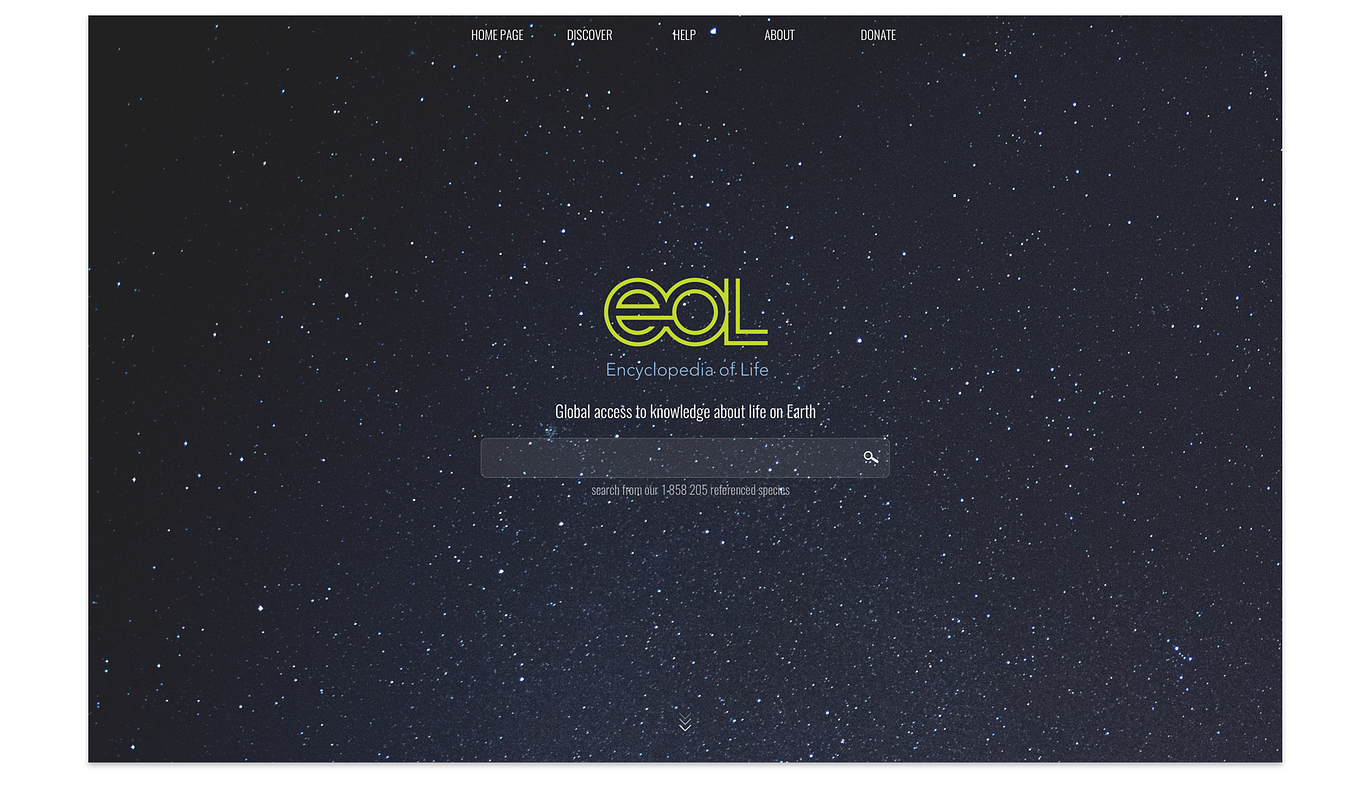 Improving Web Performance with React Hydration Strategies | by Valentin Colmant | Peaksys ...