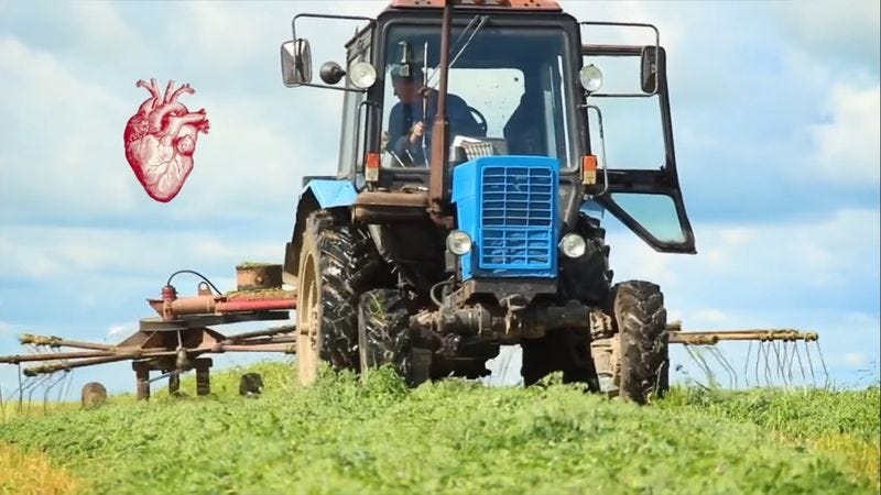 TMBG Randomizer #241: Who Put the Alphabet in Alphabetical Order? | by ...