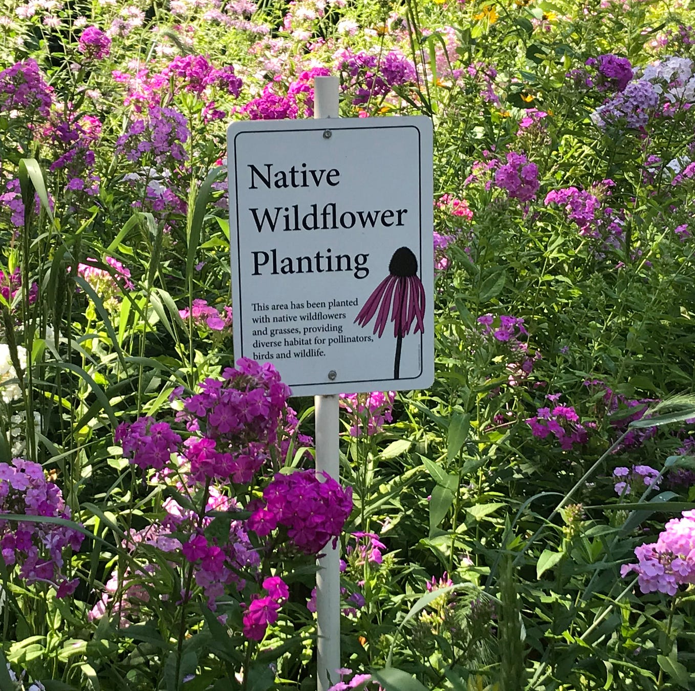 Micro-Prairie Quick Reference. Over the last couple of years I have ...