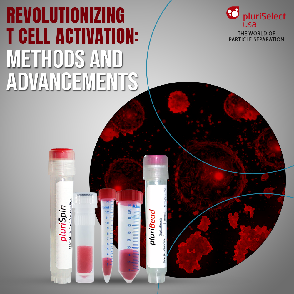 What Are Memory T Cells And How They Are Created? | by Uberstrainer USA ...