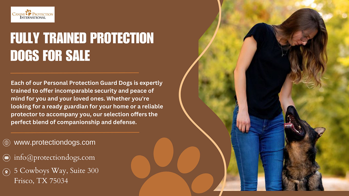 German Shepherd Trained for Sale - Protection Dogs - Medium