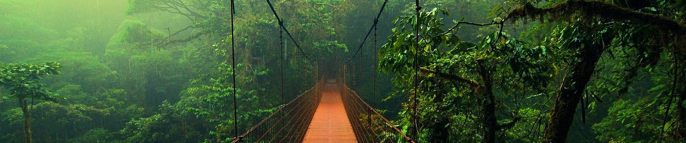 The definitive guide to setup my Python workspace | by Henrique Bastos ...