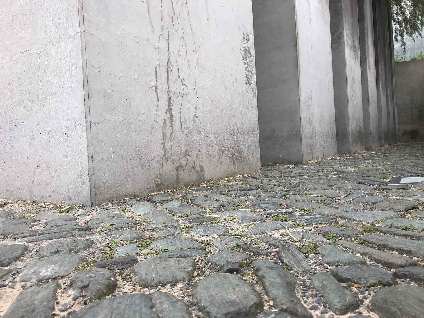 Walking Through the Maze. It rained this morning. I could tell… | by ...