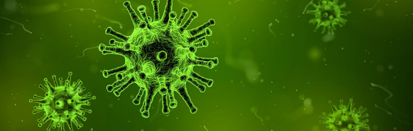 Infection Modeling — Part 3. Optimizing a vaccination strategy with ... Infection Modeling — Part 3. Optimizing a vaccination strategy with ...