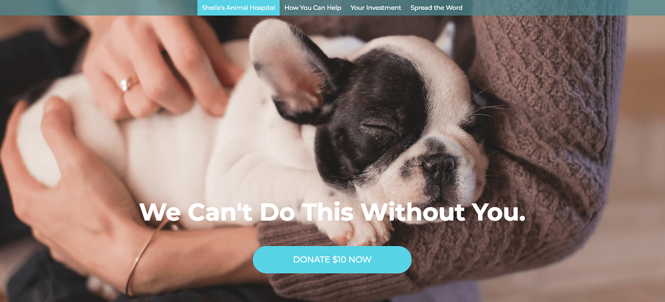 How to Create Clan Web Designs for Free | by Strikingly | Medium