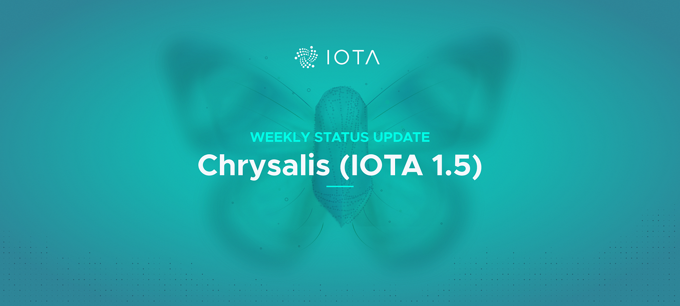 Introducing Hornet — a lightweight IOTA node | by Jakub Cech | Medium