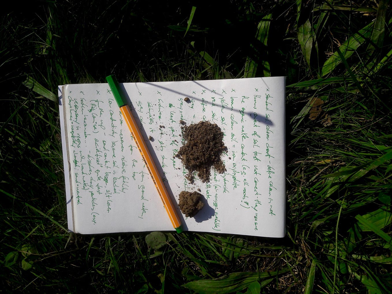 Get to Know your Soil Better: A Simple Soil Experiment to do Home | by ...