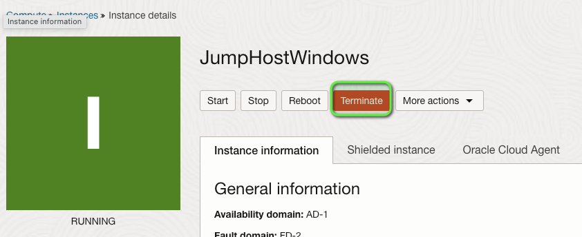 How to monitor your OCI environment using Dynatrace | by Birzu Alexandru-Adrian | Learn OCI