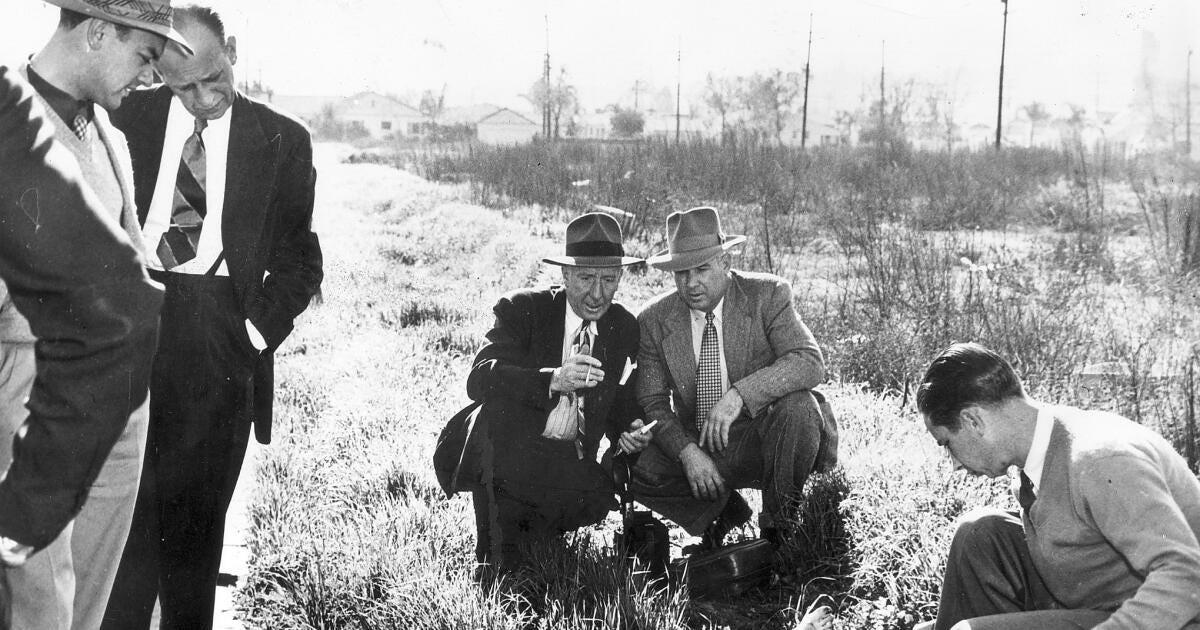 The Black Dahlia: An Unsolved Murder and Its Haunting Legacy | by ...