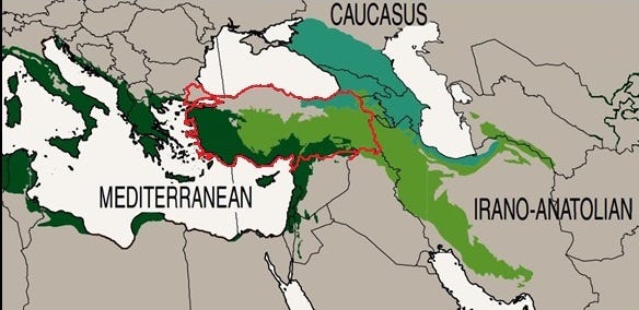 An Overview of U.S. relations with the South Caucasus | by Caucasus ...