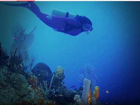 Why You Should Get Excited About Scuba Diving In Cyprus | by Pissouri ...