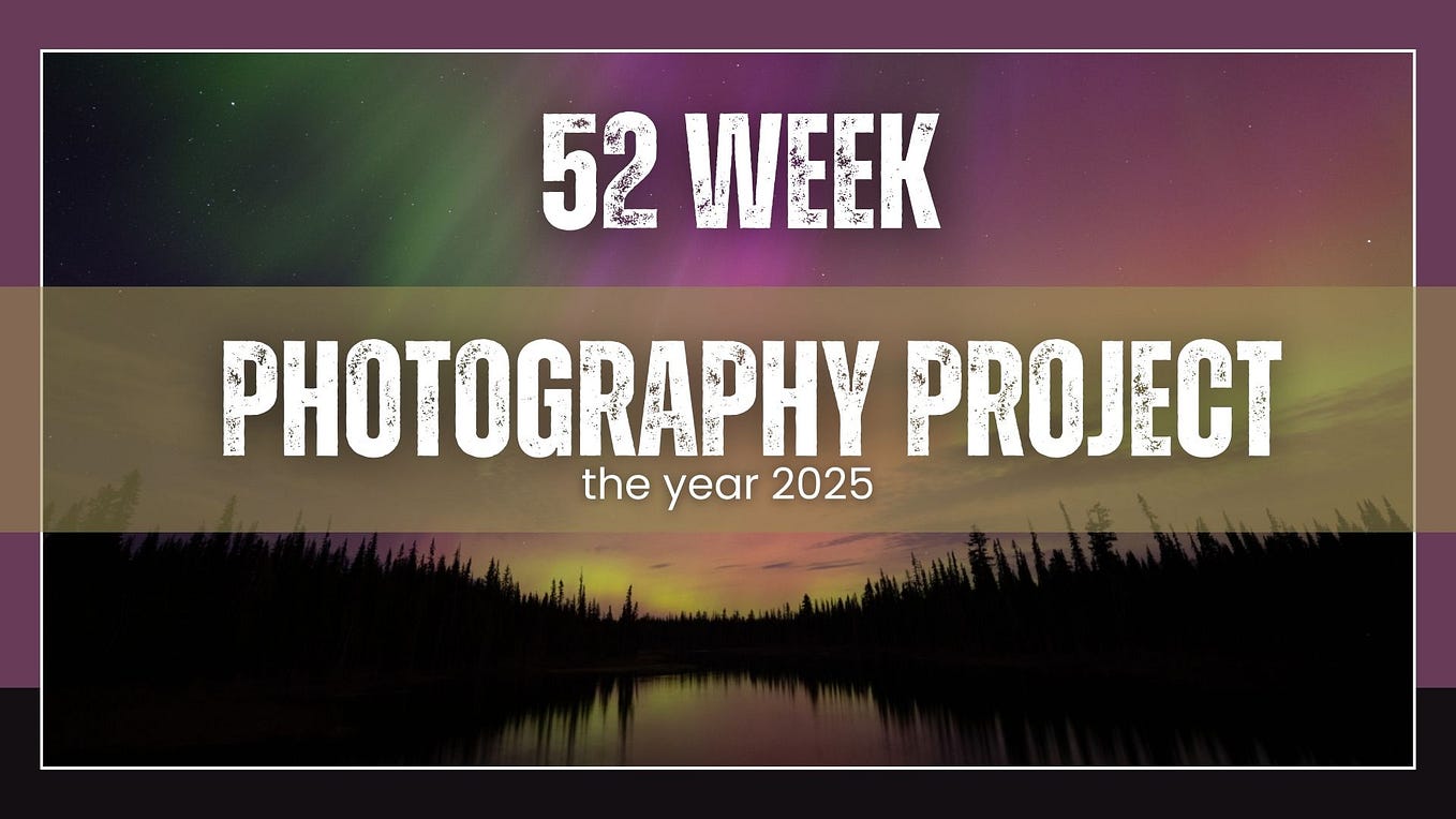 52 Week Photography Project (2025) | by Terrill Bodner | Full Frame ...